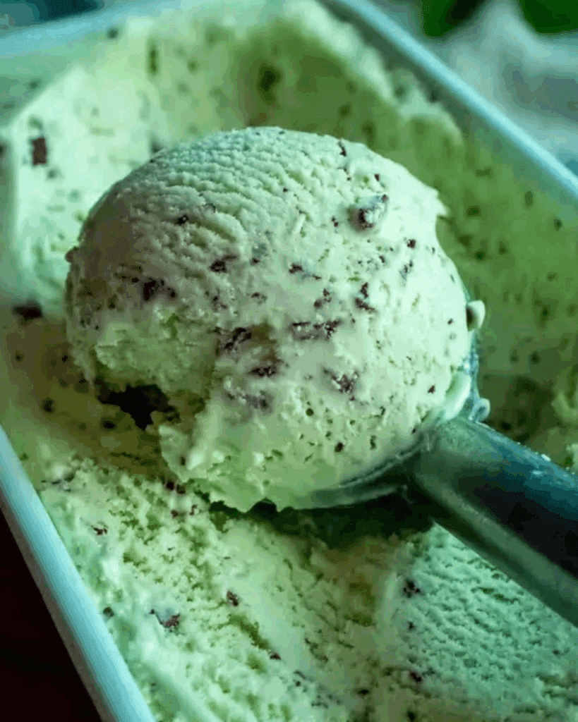 Mint Chocolate Chip Ice Cream - BasCooking